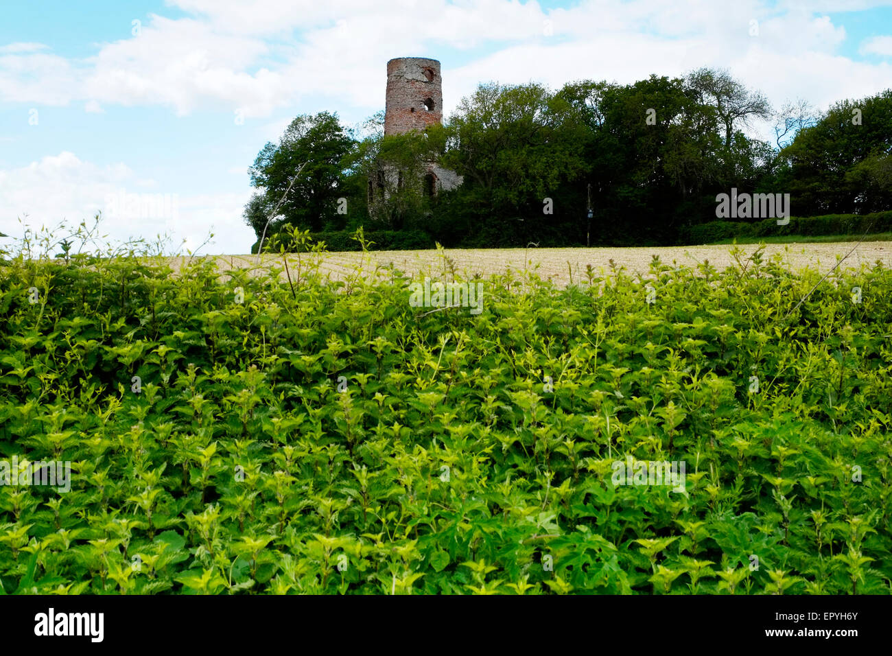 racton ruins folly tower in hampshire england uk Stock Photo - Alamy