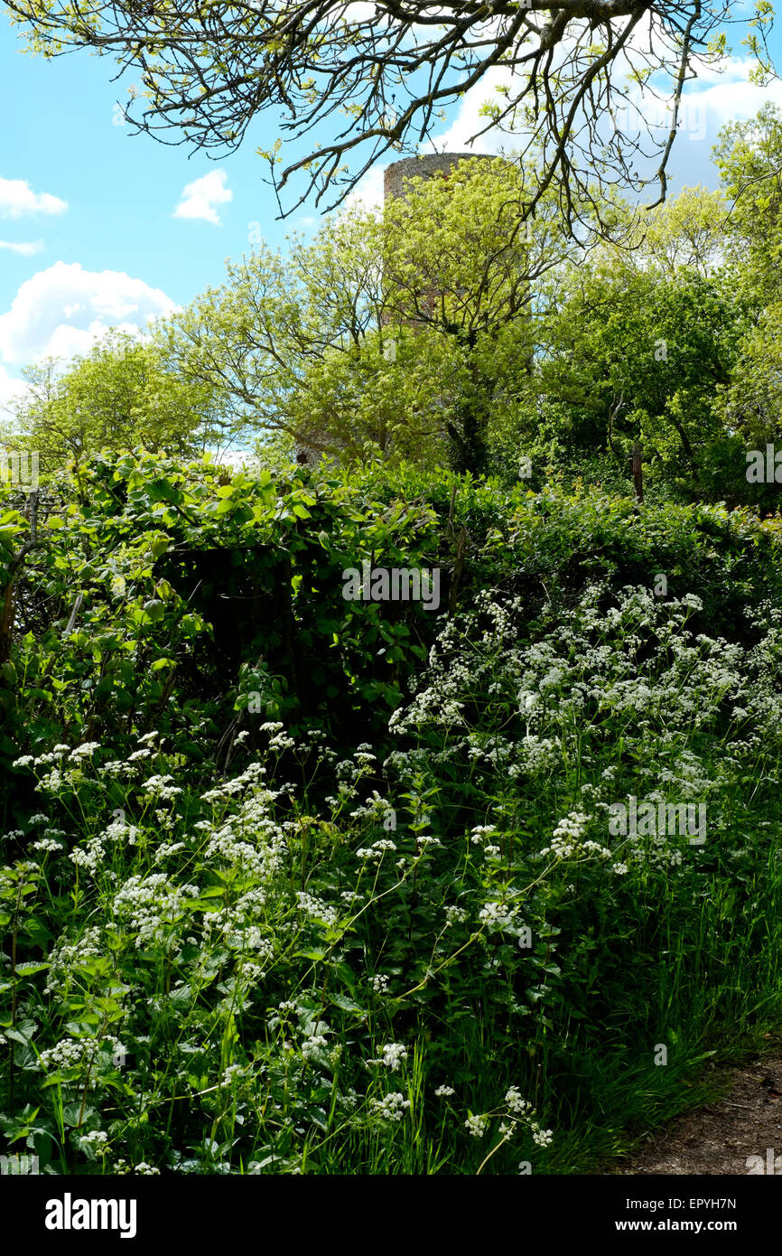 Racton ruins monument hi-res stock photography and images - Alamy