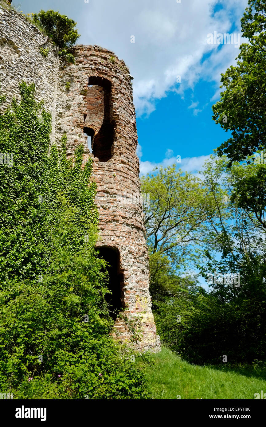 racton ruins folly tower in hampshire england uk Stock Photo - Alamy