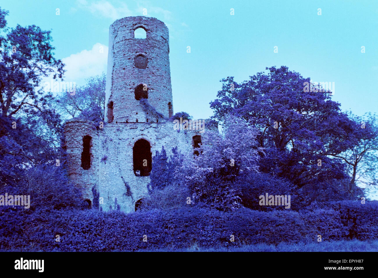 racton ruins folly tower in hampshire england uk Stock Photo - Alamy