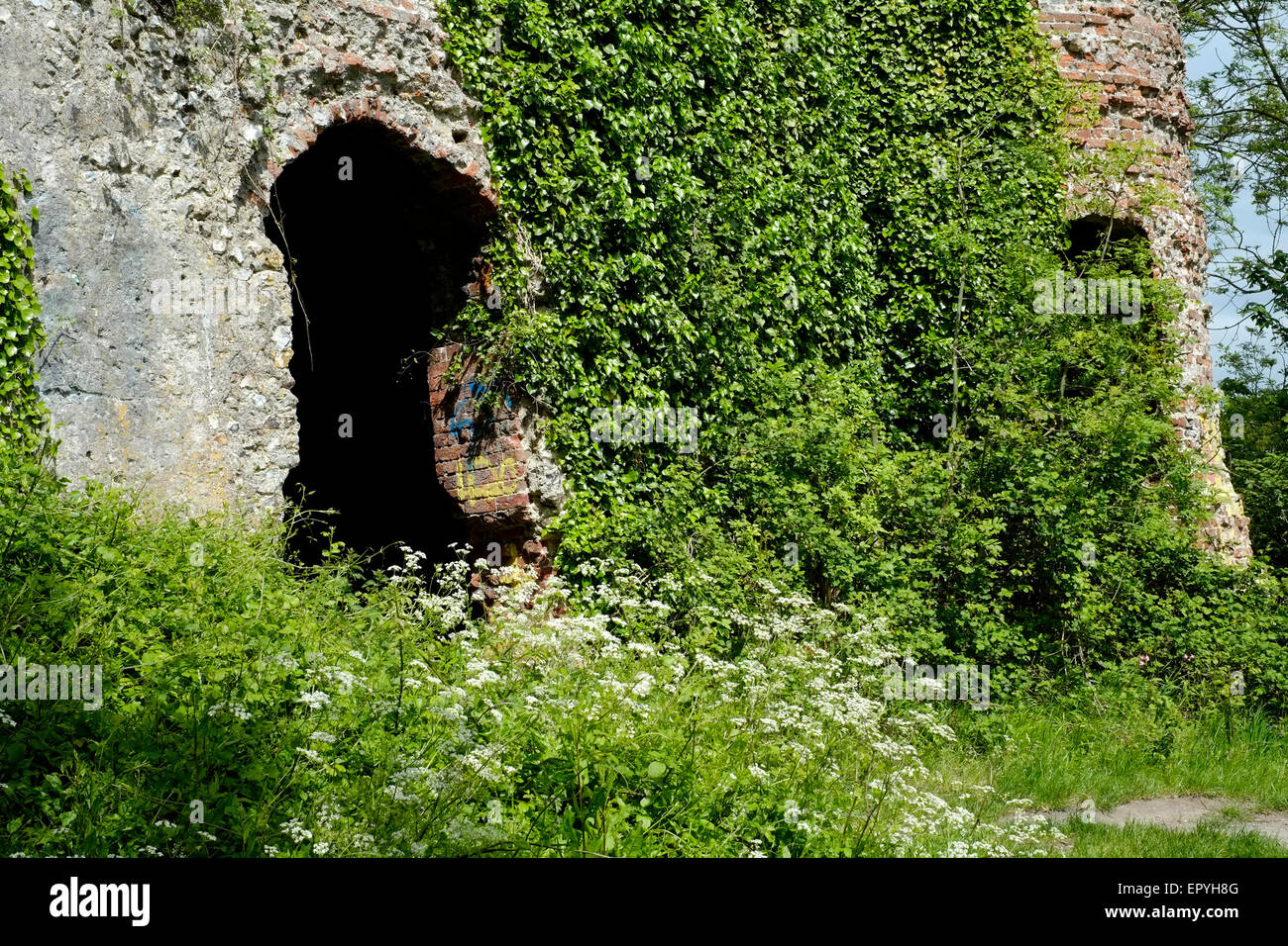 racton ruins folly tower in hampshire england uk Stock Photo - Alamy