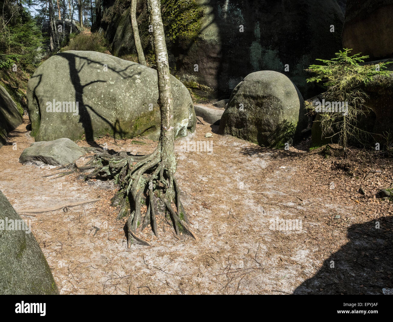 Fantasy stone city hi-res stock photography and images - Alamy