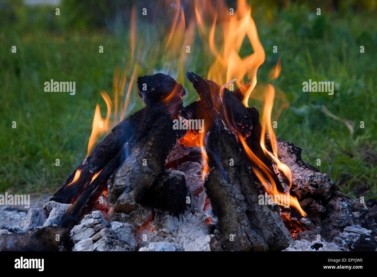 Campfire in the parking lot in the forest at rest Stock Photo - Alamy