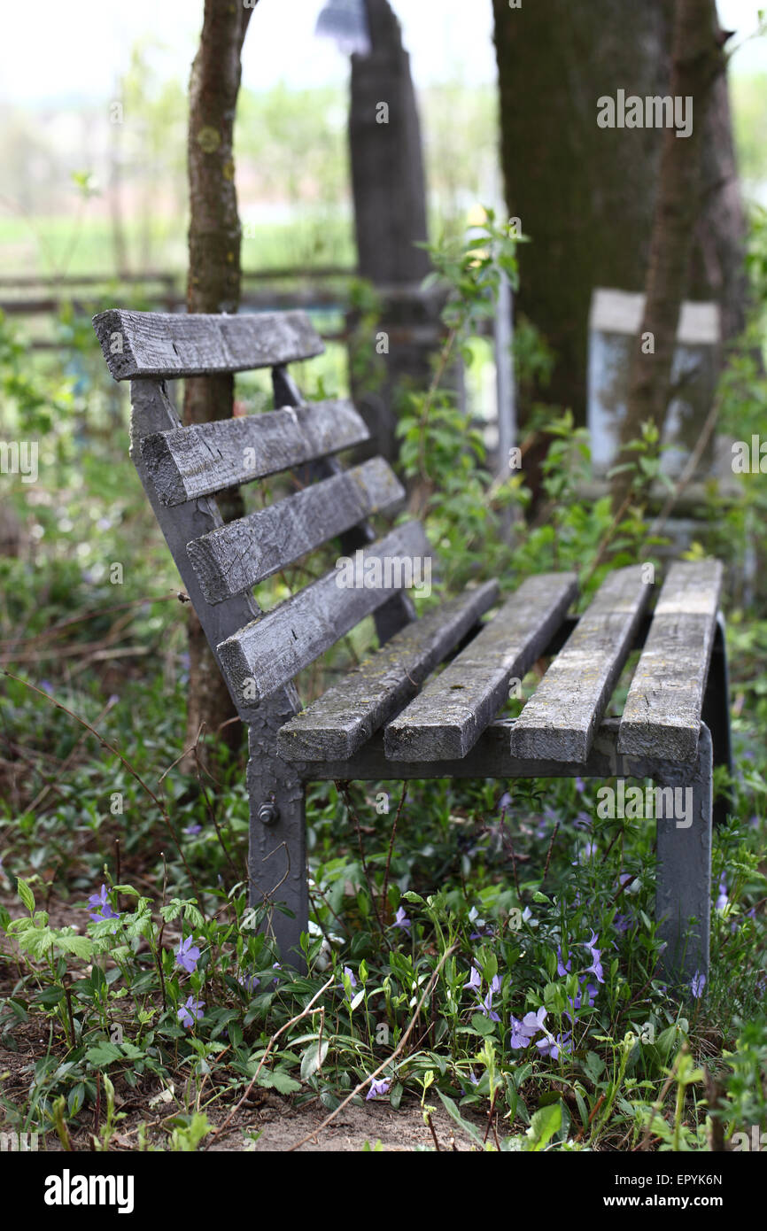 old wooden bench in the cemetery Stock Photo - Alamy