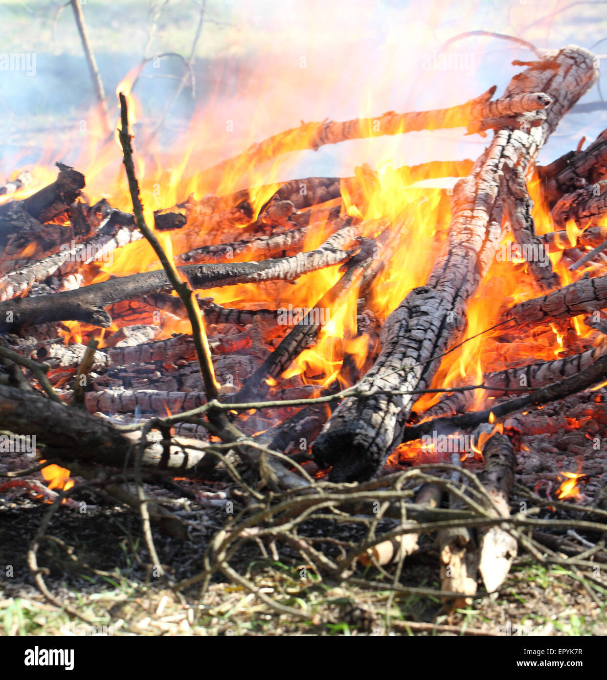 a big fire in the forest Stock Photo - Alamy