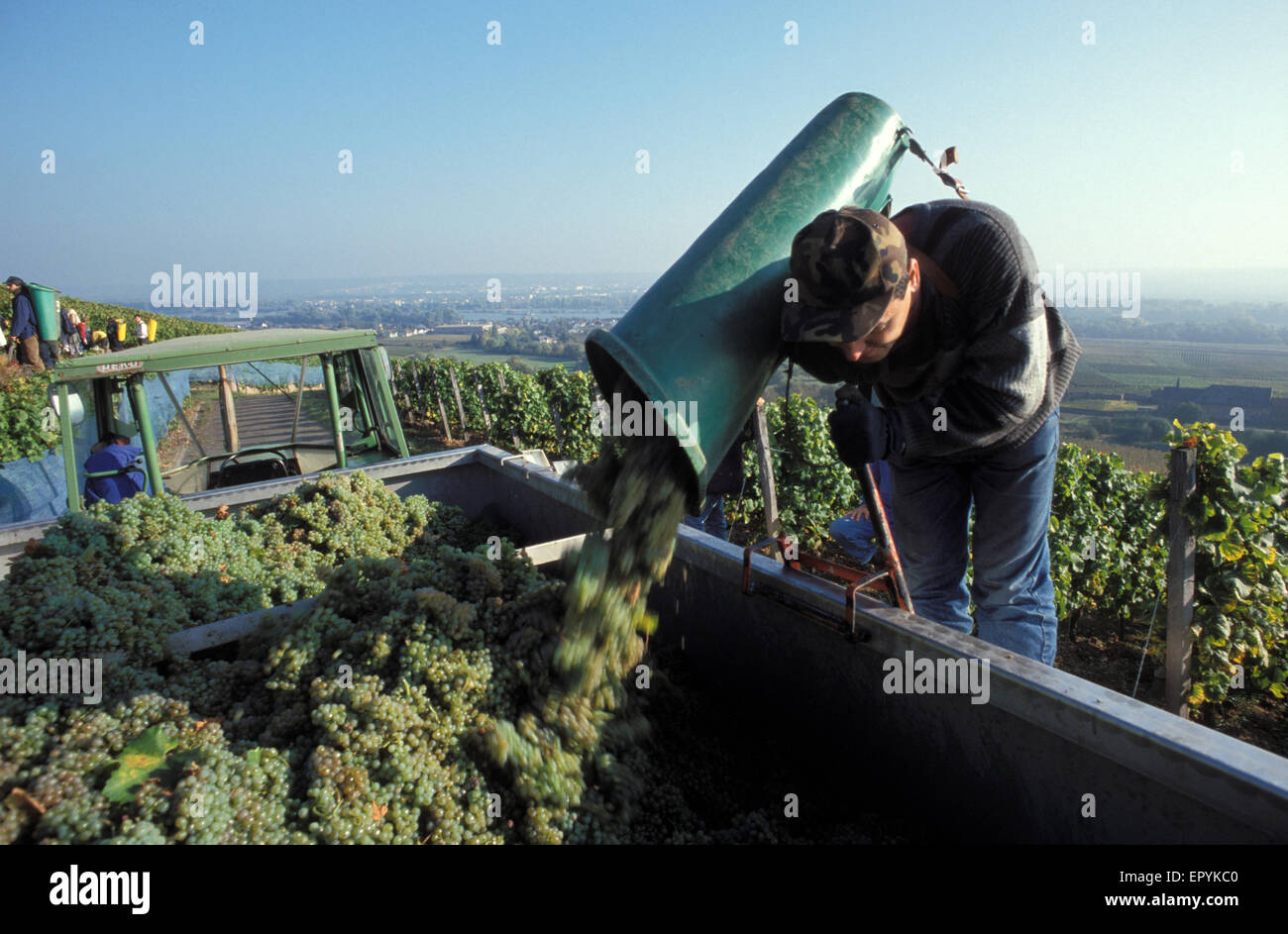 Wein am rhein hi-res stock photography and images - Alamy