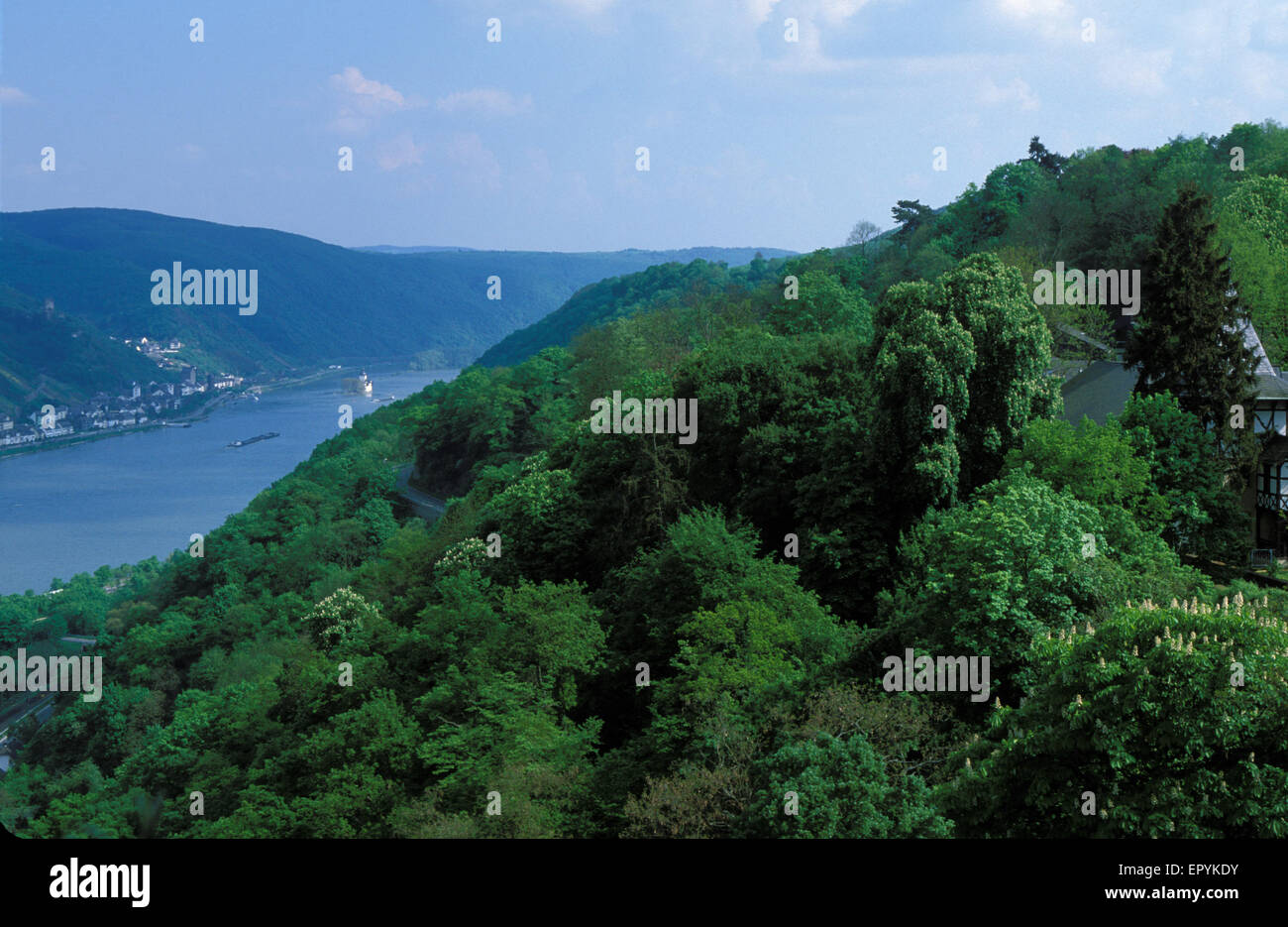 DEU, Germany, Oberwesel at the river Rhine, view from castle Schoenburg ...