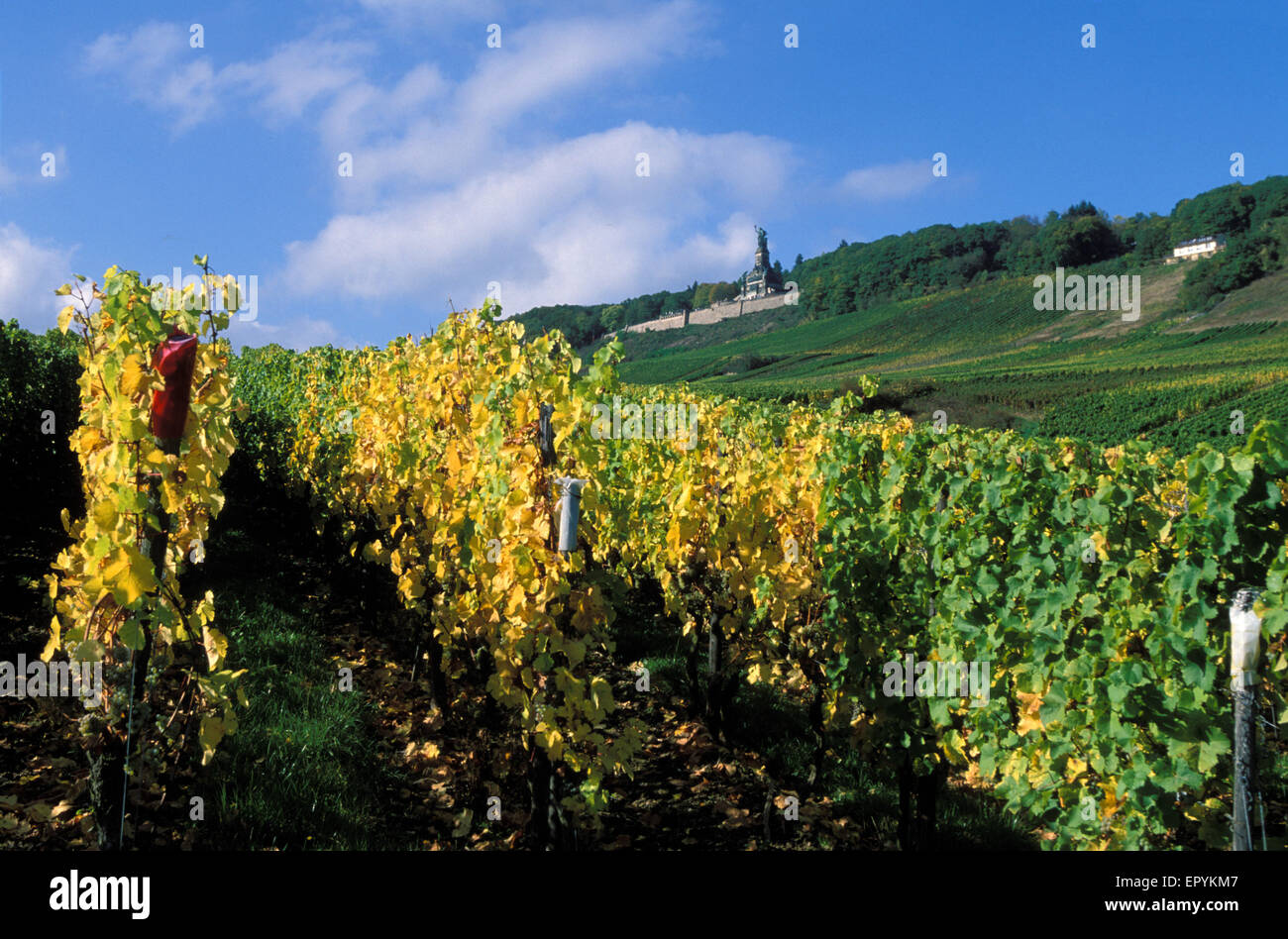 Niederwald denkmal hi-res stock photography and images - Alamy