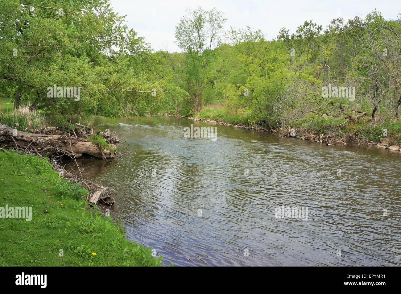 The Credit River Stock Photo - Alamy