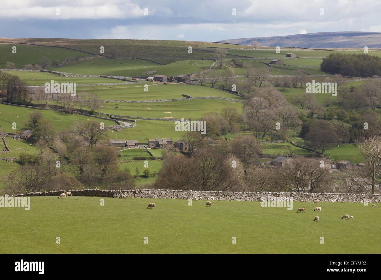 The farms and barns of Malham in Spring Stock Photo - Alamy