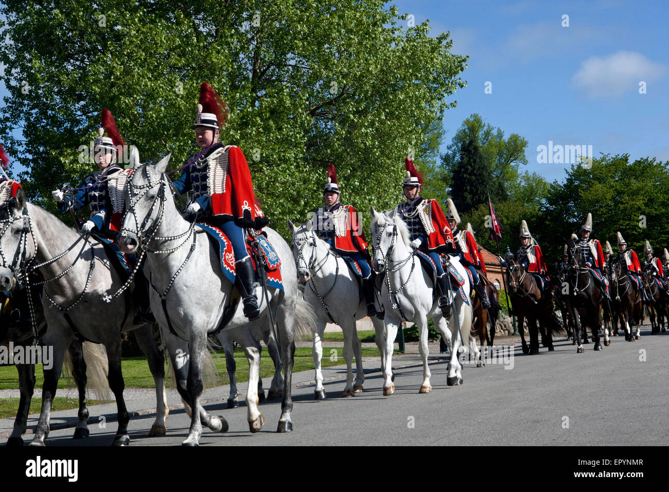 Dragoon Regiment High Resolution Stock Photography and Images - Alamy