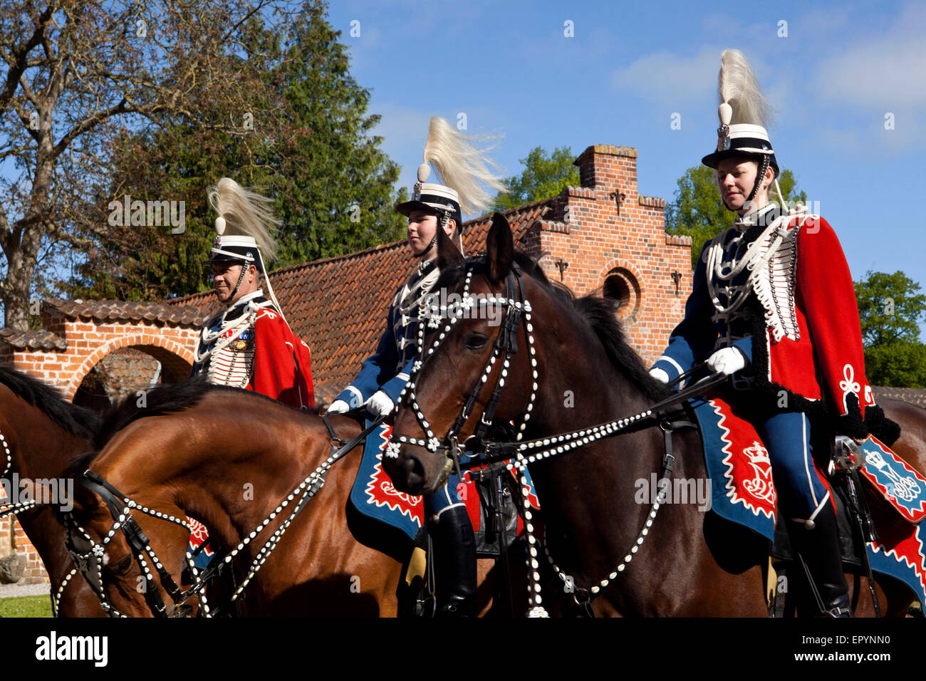 Dragoon Regiment High Resolution Stock Photography and Images - Alamy