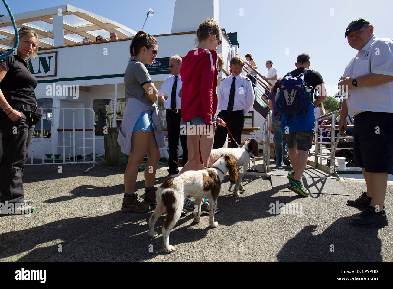 Bowness on windermere dogs hi-res stock photography and images - Alamy