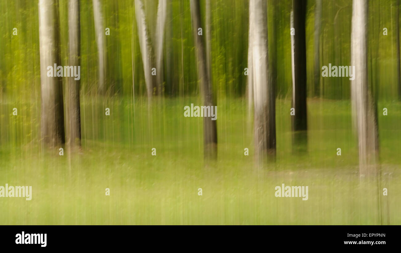 Moving trees background hi-res stock photography and images - Alamy