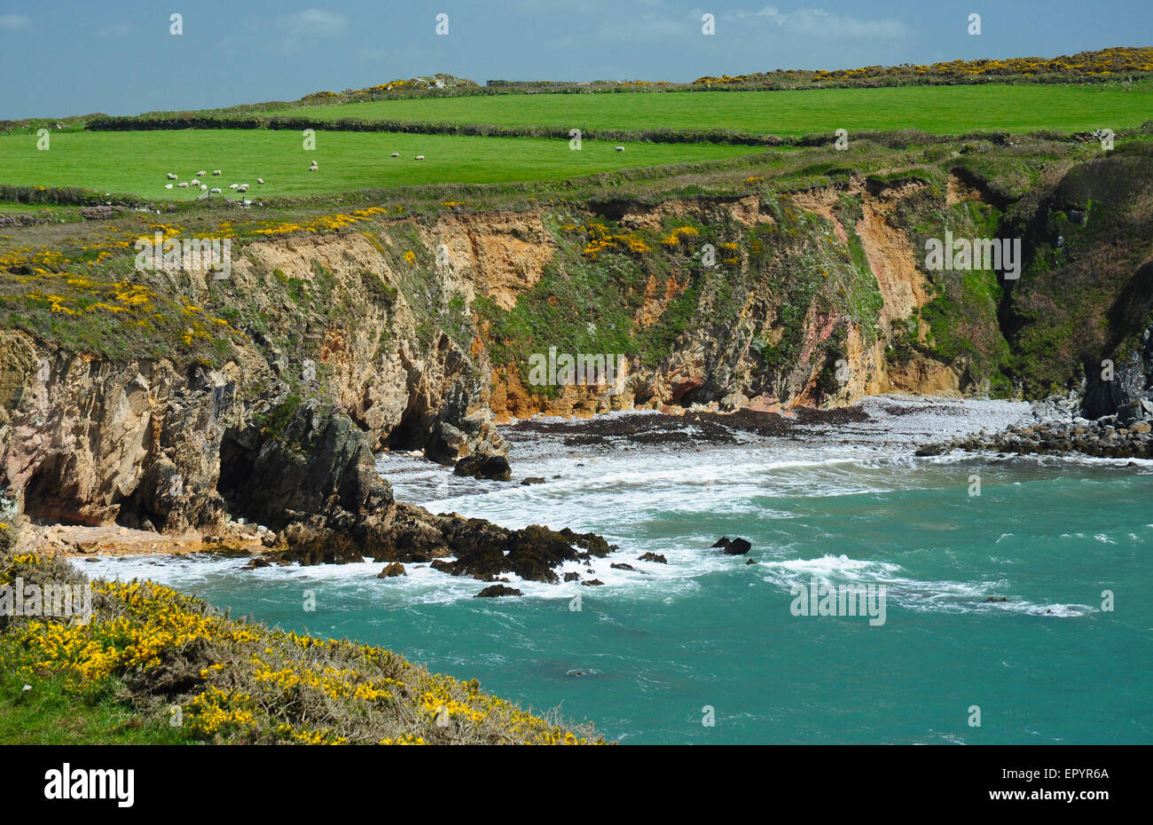 Porthlysgi Bay (west of Porthclais or Porth Clais), Pembrokeshire ...