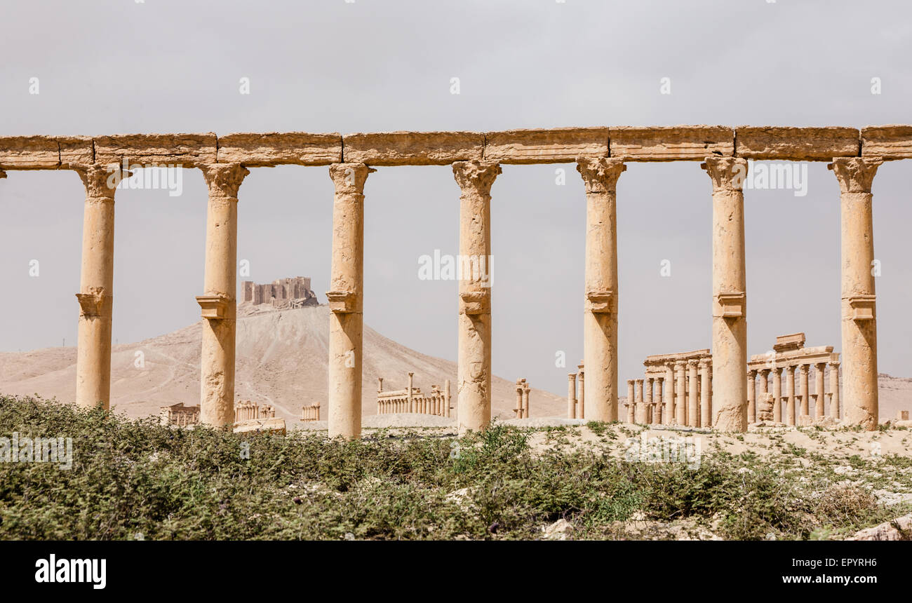 Colonnade colonnades column columns hi-res stock photography and images ...