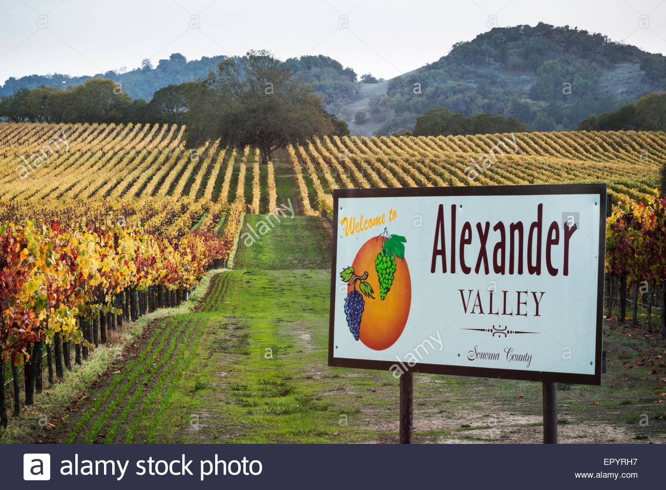 Alexander County High Resolution Stock Photography and Images - Alamy