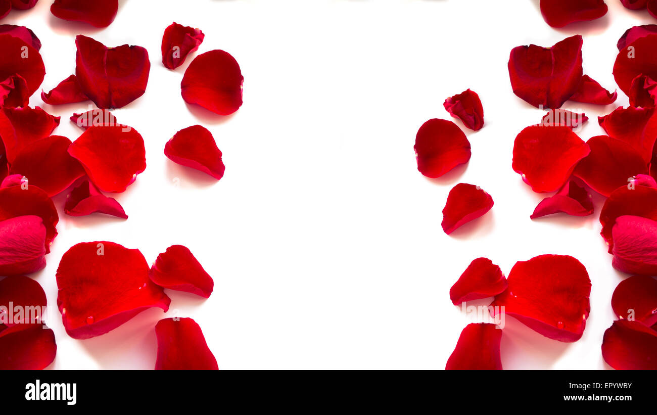 Rose Petals Border Stock Photo - Alamy