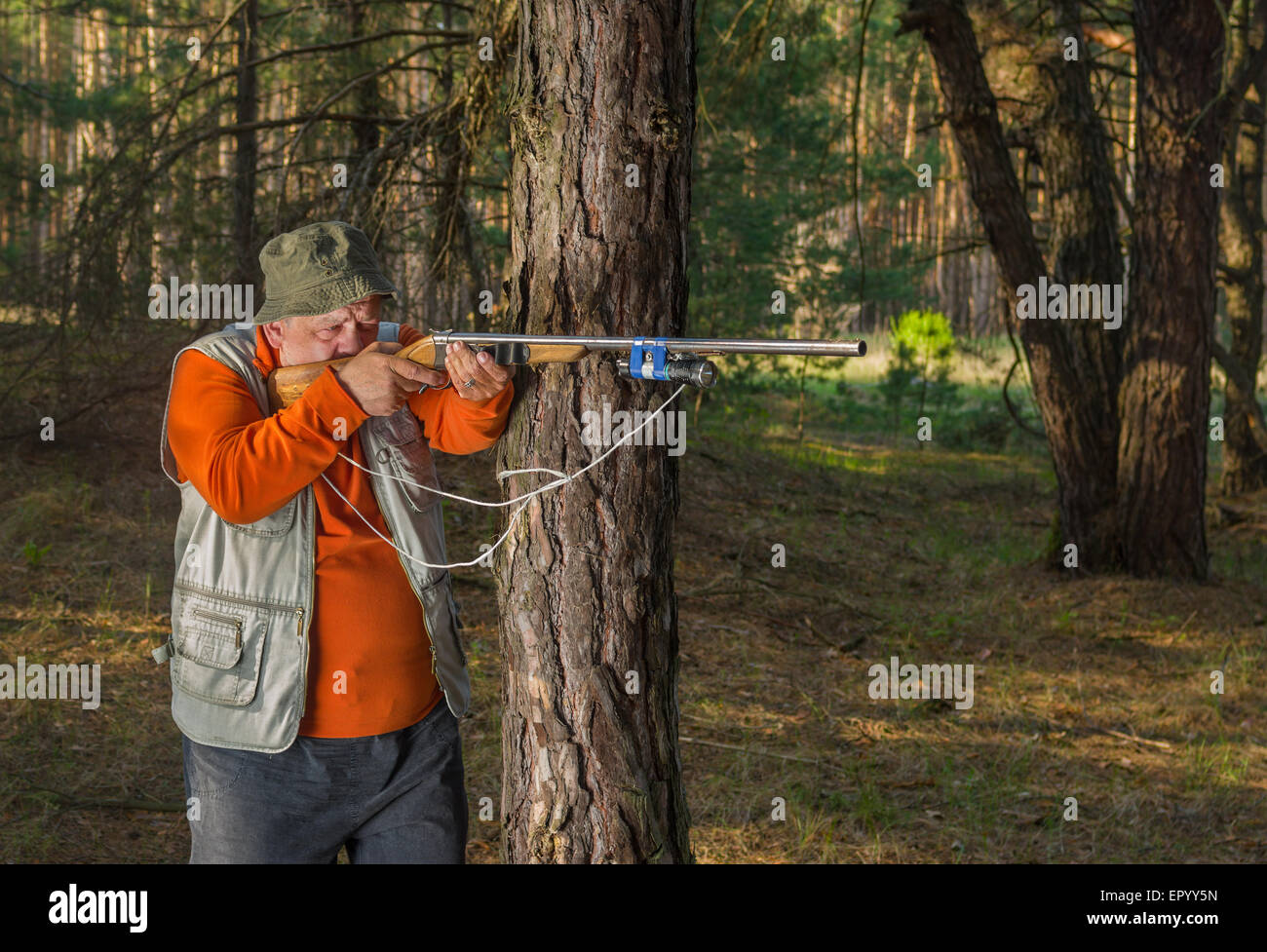 Senior hunter aim rifle in forest Stock Photo - Alamy