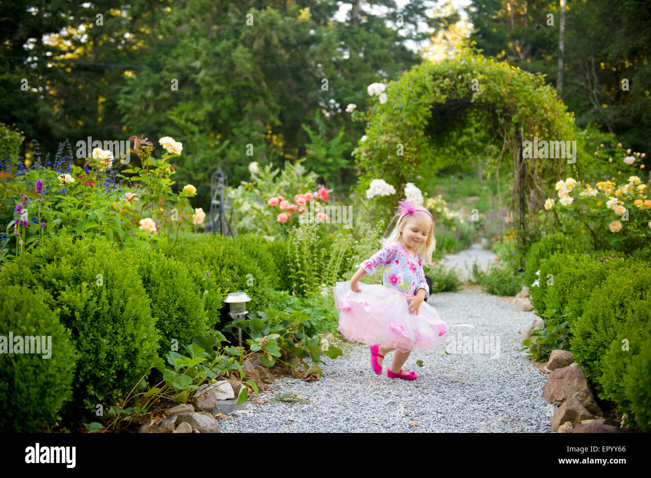 Small girl child playing in tutu and dancing in afield of purple ...
