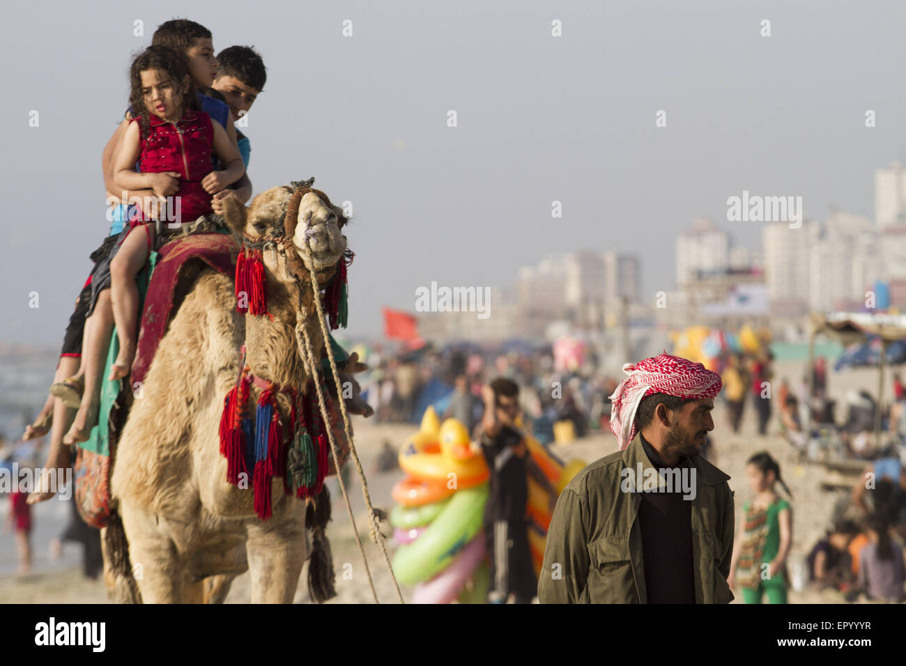 Gaza City, The Gaza Strip, Palestine. 23rd May, 2015. Palestinian man rents his camel for short ...