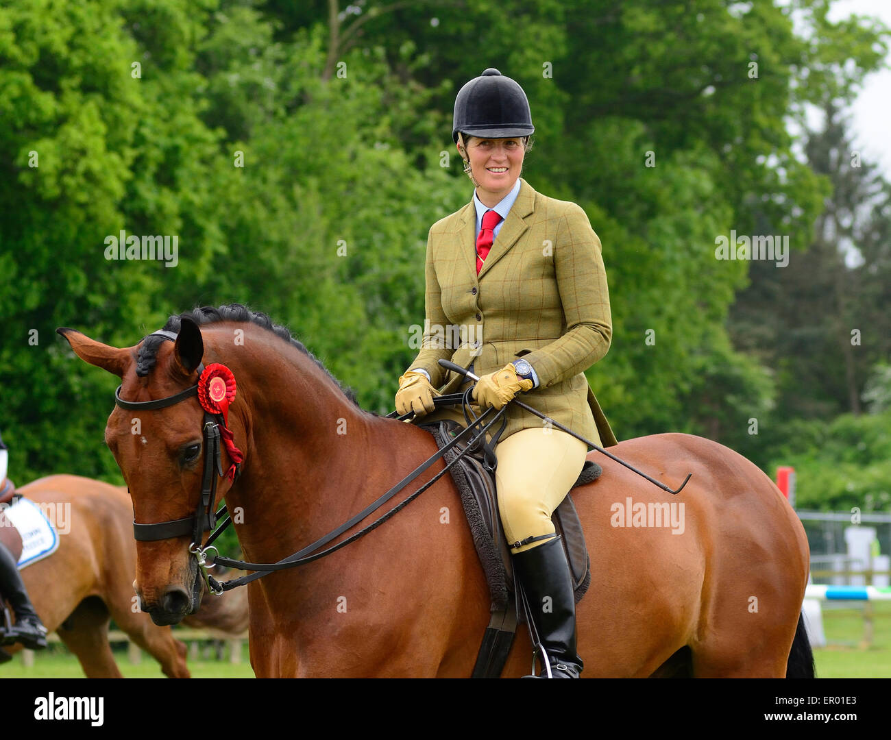 show jumping at Hertfordshire County Show , Redbourn, Hertfordshire ...