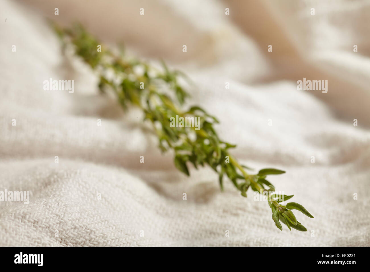 Sprigs hi-res stock photography and images - Alamy