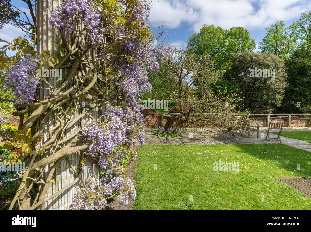 Secret tree hi-res stock photography and images - Alamy