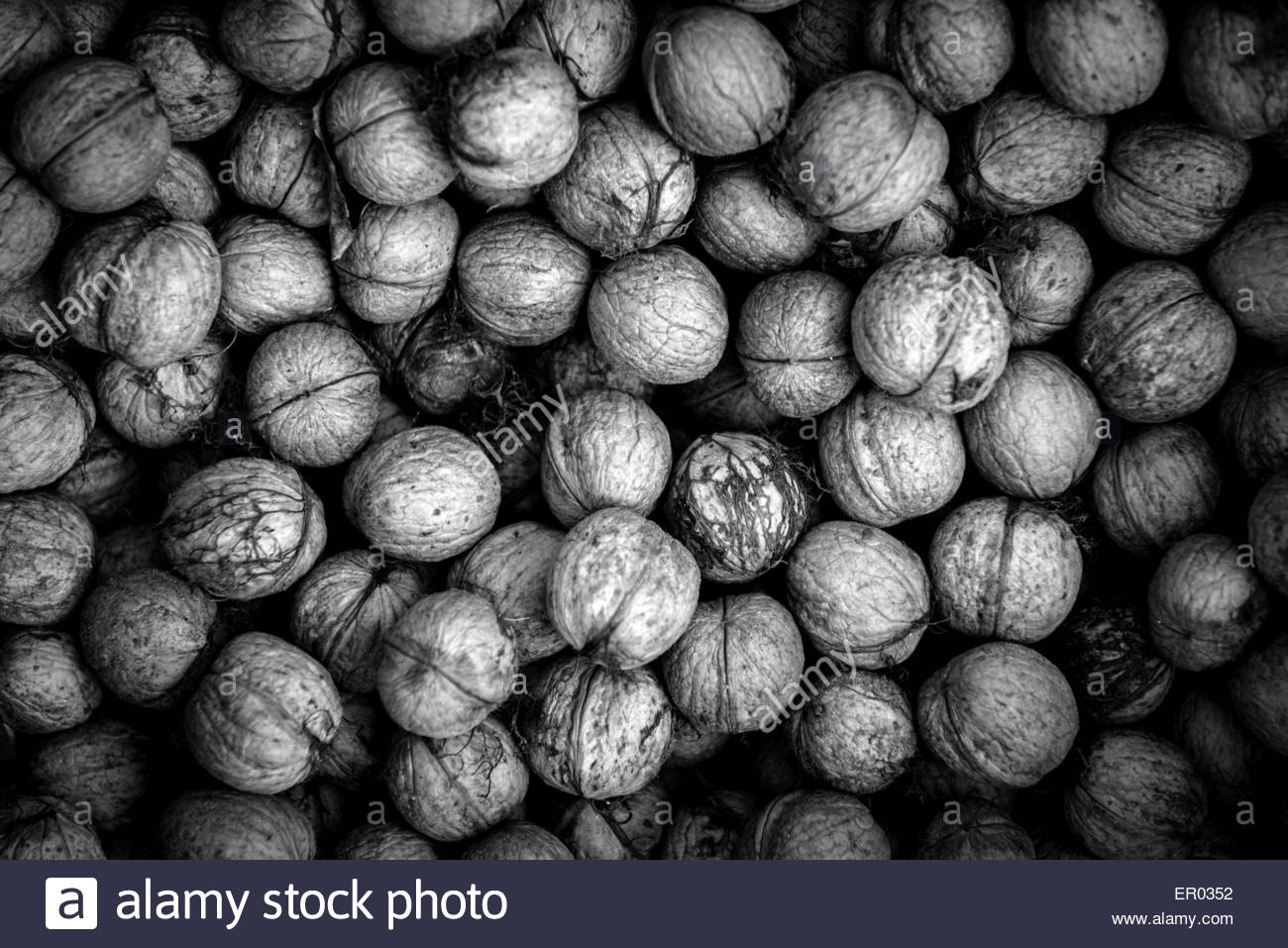 Kernel Black and White Stock Photos & Images - Alamy