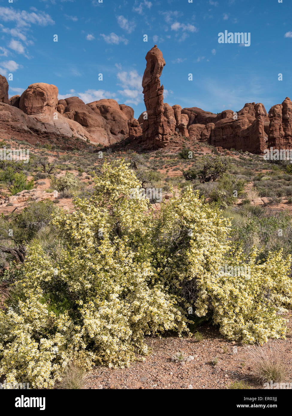 Rose arches hi-res stock photography and images - Alamy