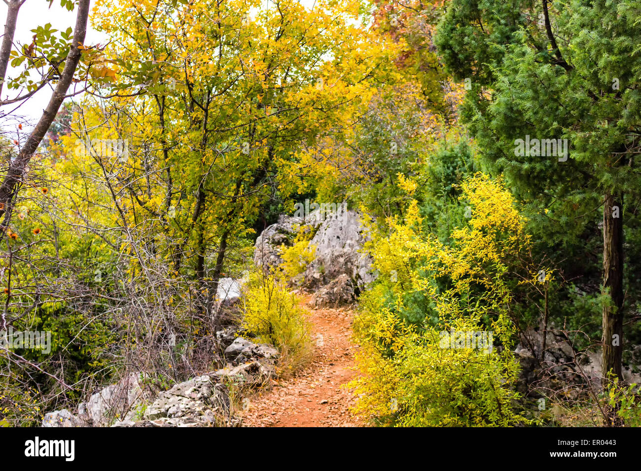 Footpath in Autumn View of the Krizevac (Cross) Mountain in Medjugorje ...