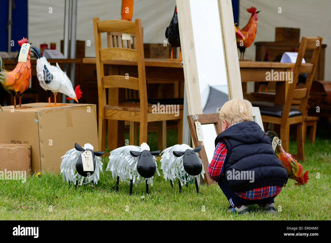 boy crouching down to look at ornamental sheep Stock Photo - Alamy