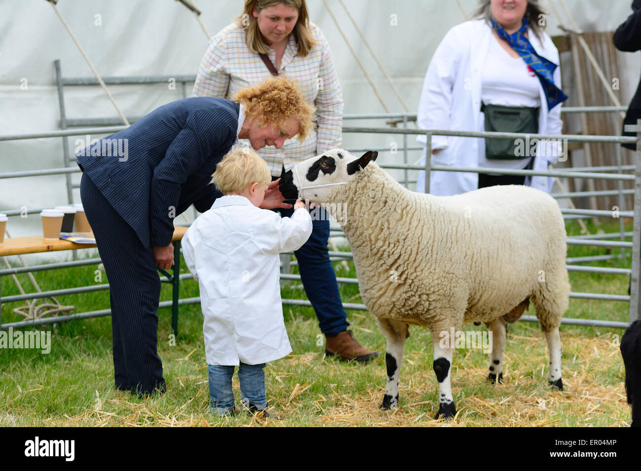 Sheep county show boy hi-res stock photography and images - Alamy