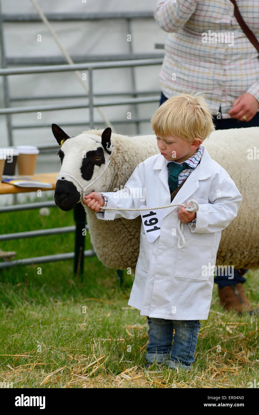 cute shepherd boy with large sheep Stock Photo - Alamy