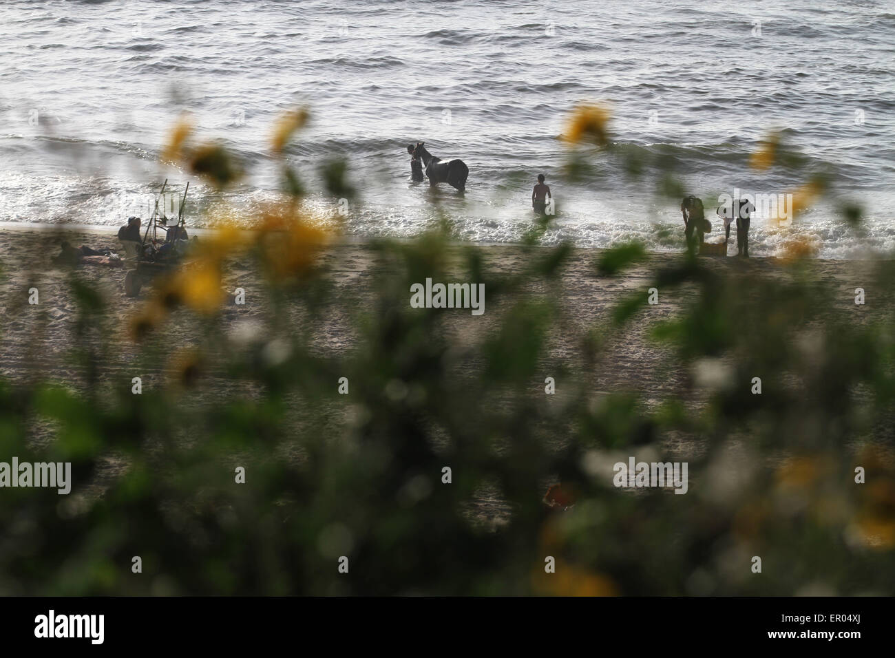 Gaza City, The Gaza Strip, Palestine. 23rd May, 2015. Palestinian ...