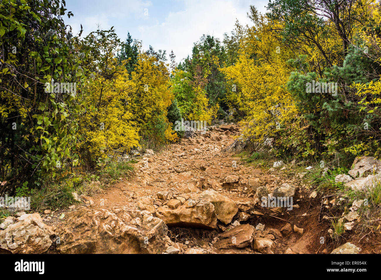 Footpath in Autumn View of the Krizevac (Cross) Mountain in Medjugorje ...