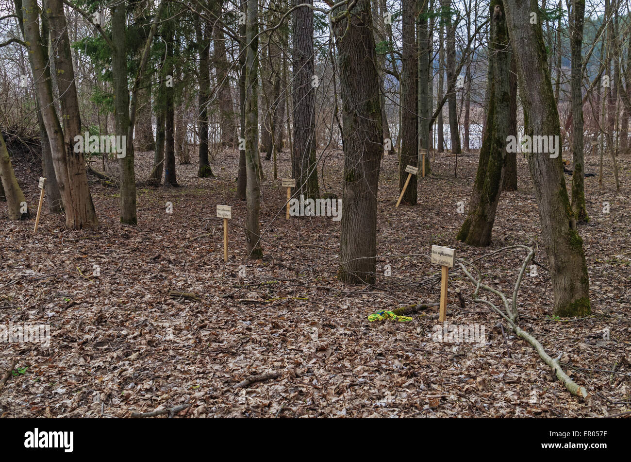 Trees in the spring wood with plates with their names Stock Photo - Alamy
