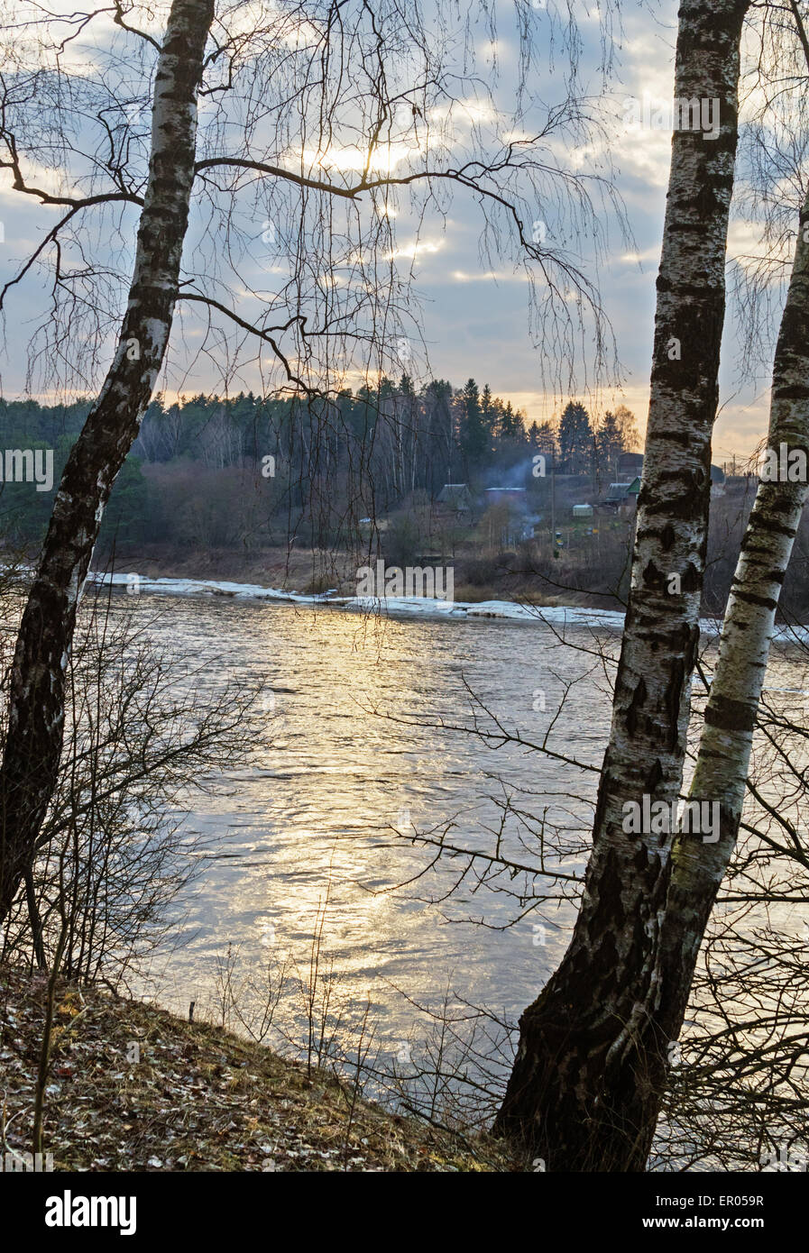 Spring river landscape with birches and ice Stock Photo - Alamy
