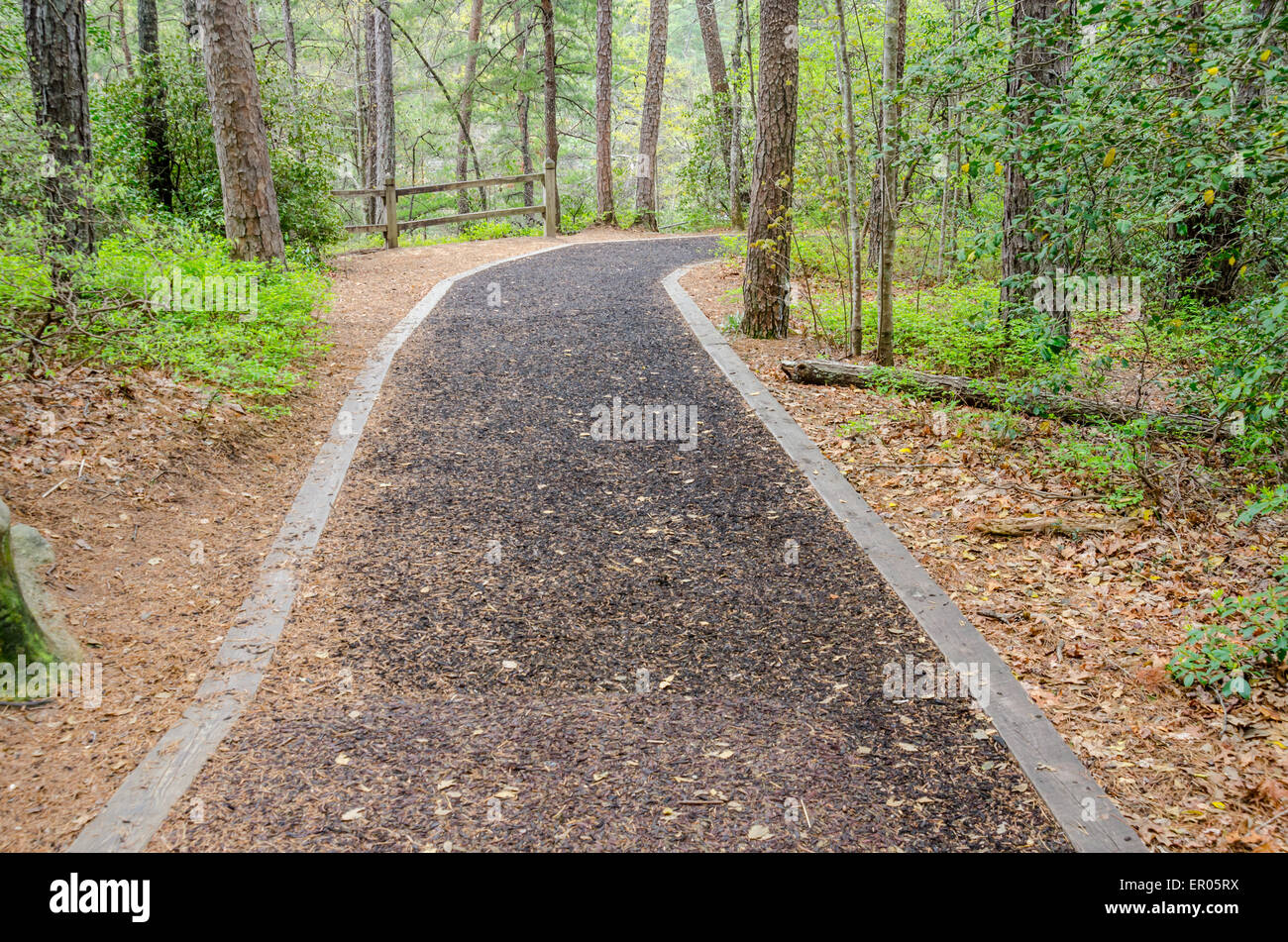 A soft walking path in a state park in Georgia Stock Photo - Alamy