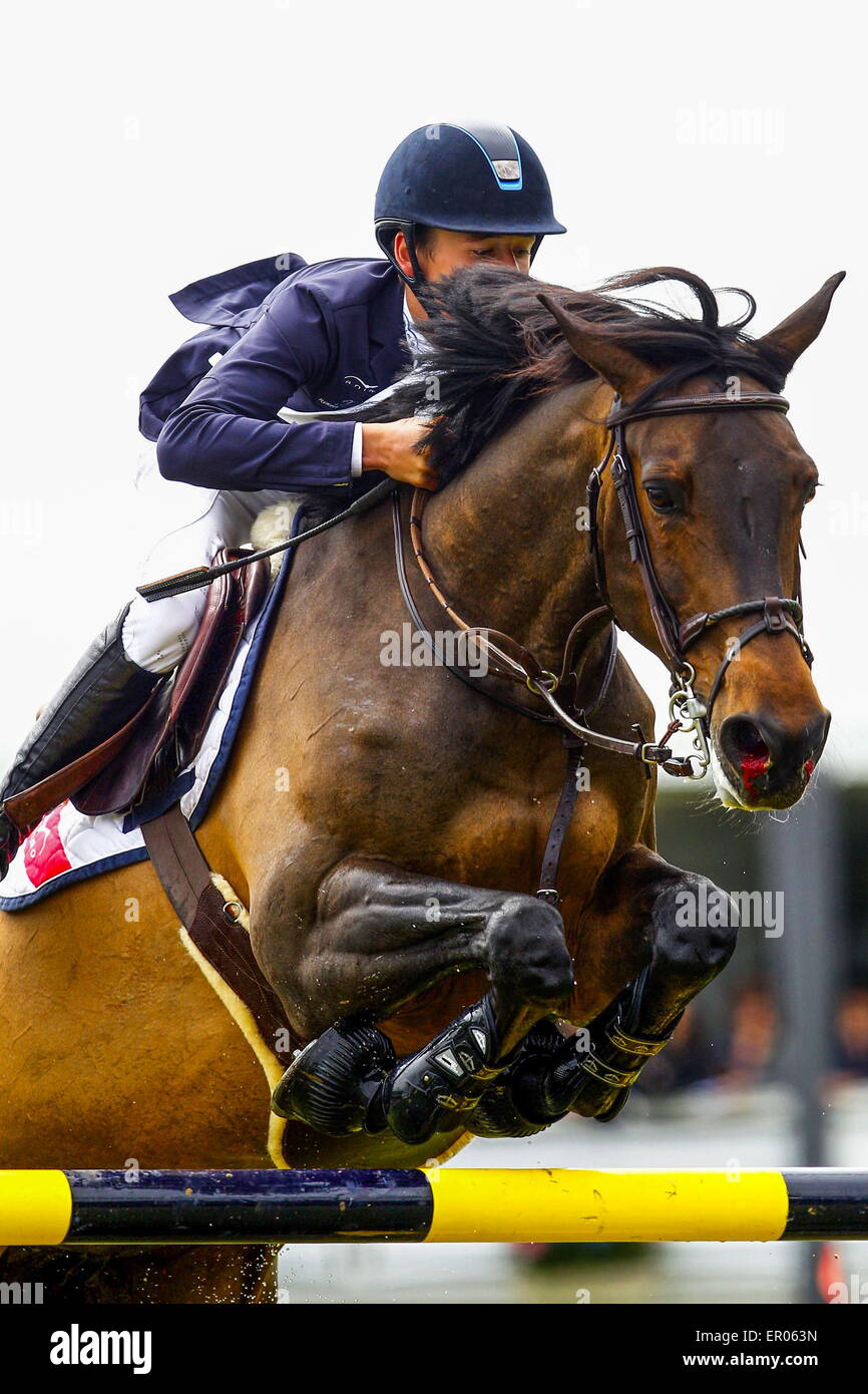 Bertram ALLEN - WILD THING L - 16.05.2015 - Jumping International - La ...