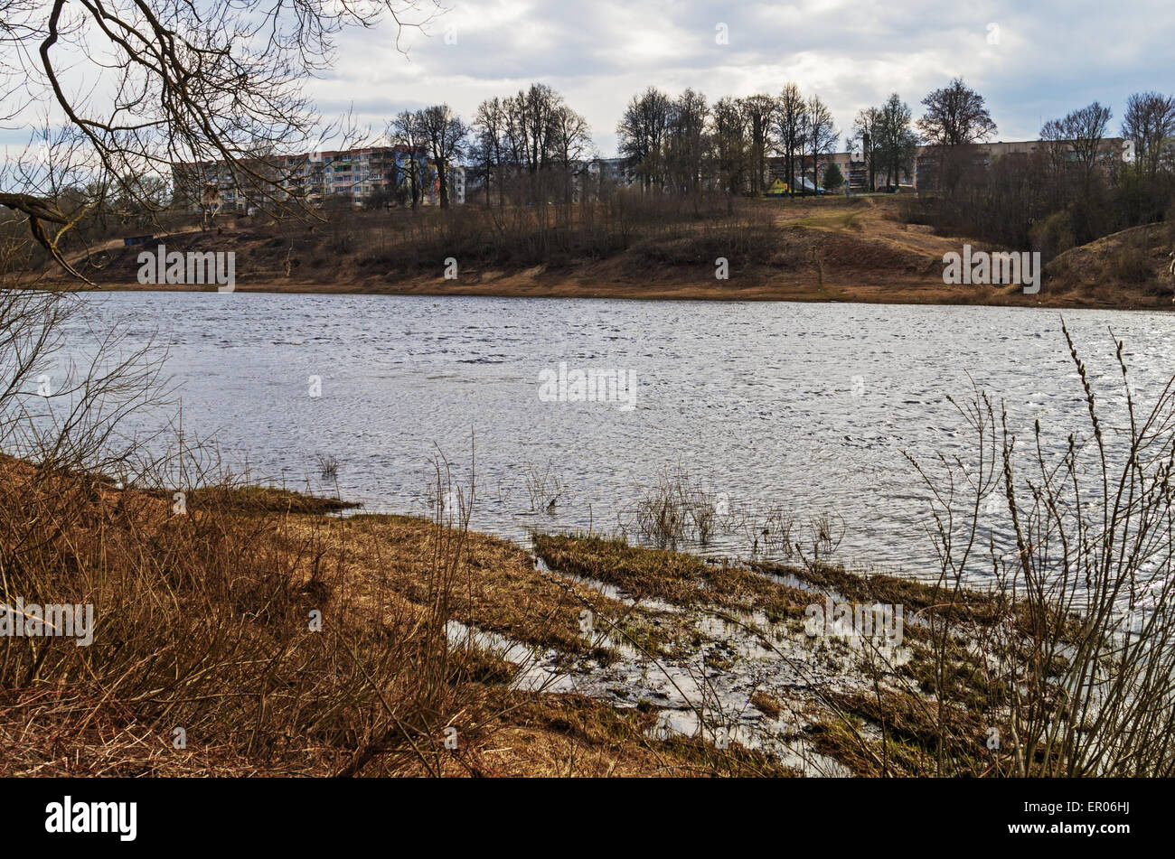 Spring river landscape with dry grass Stock Photo - Alamy