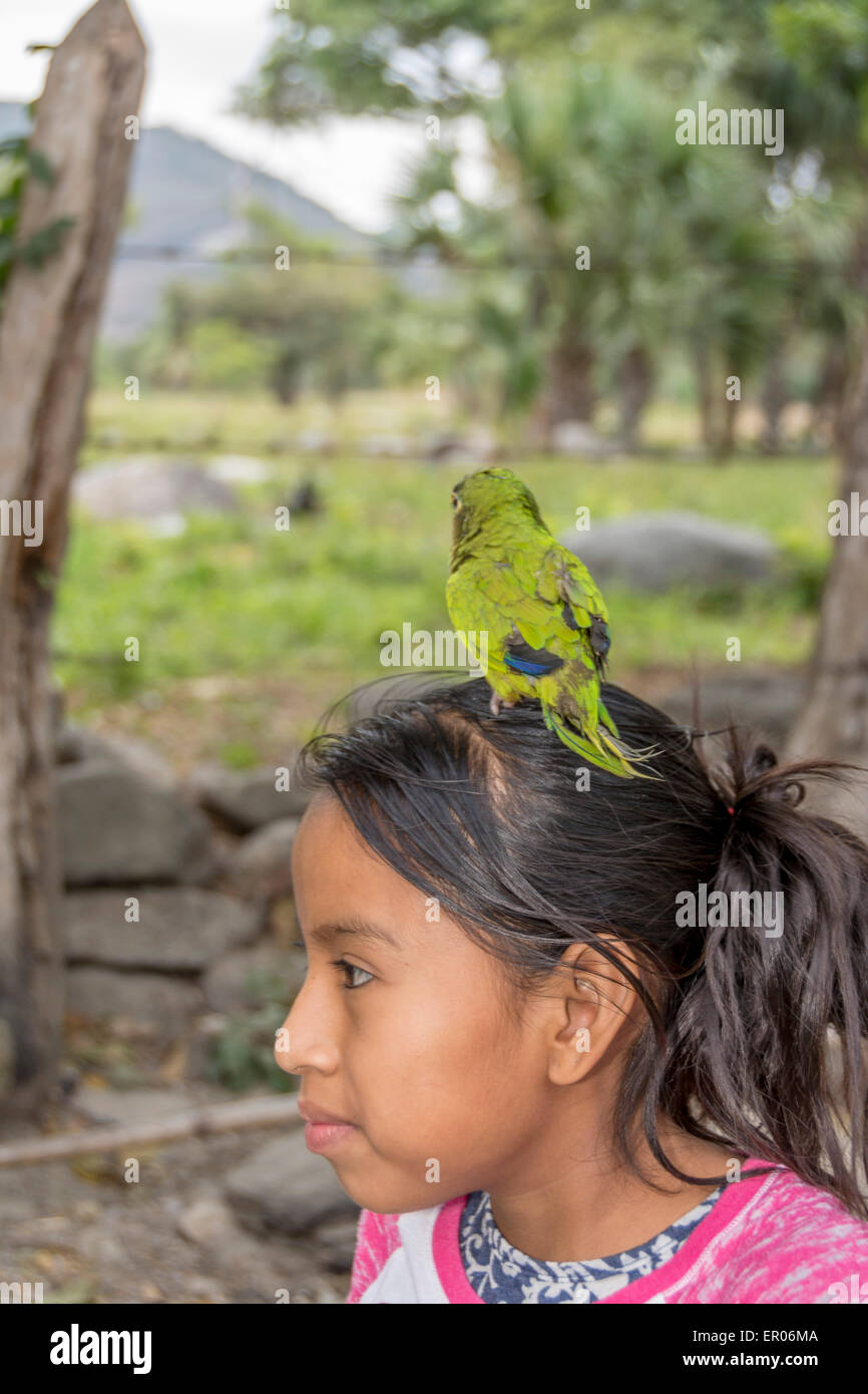 Young girl in Guatemala with a pet bird known as a Orange-fronted ...