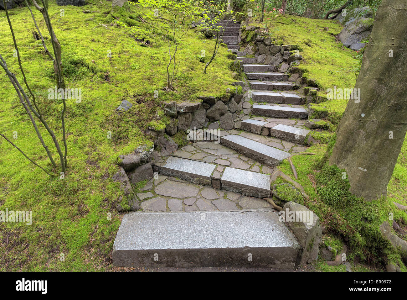 Stone Steps Stairway in Portland Japanese Garden with Rocks and Green ...