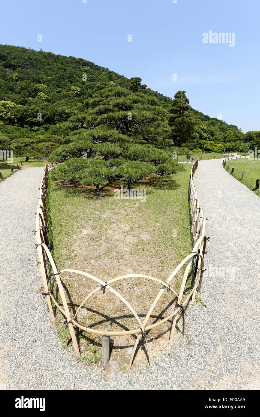 Ritsurin garden hi-res stock photography and images - Alamy