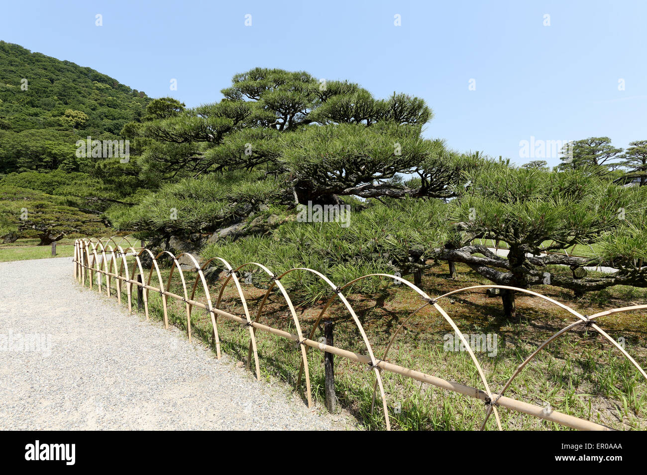 Ritsurin garden hi-res stock photography and images - Alamy
