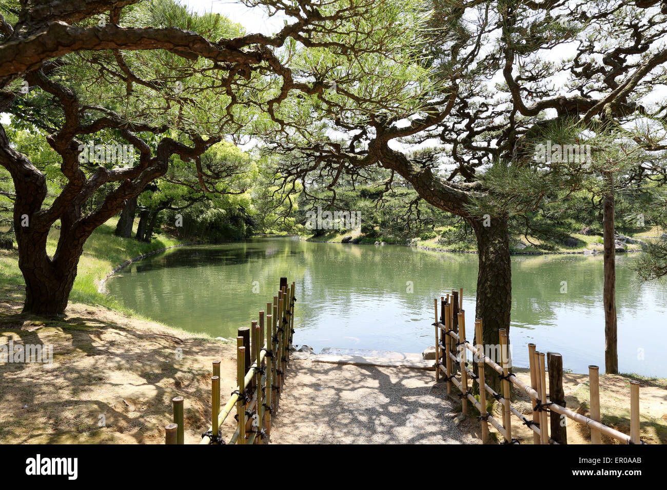 Pond with bonsai trees hi-res stock photography and images - Alamy