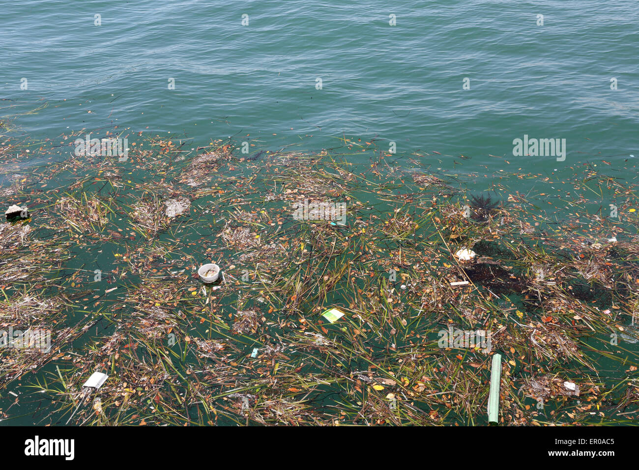 garbage floating in the sea Stock Photo - Alamy