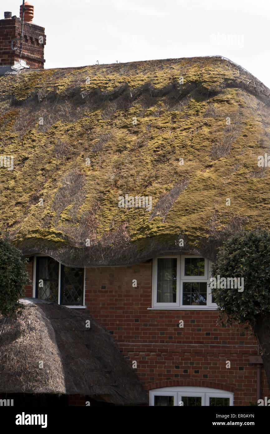 Old thatched thatch roof moss hi-res stock photography and images - Alamy