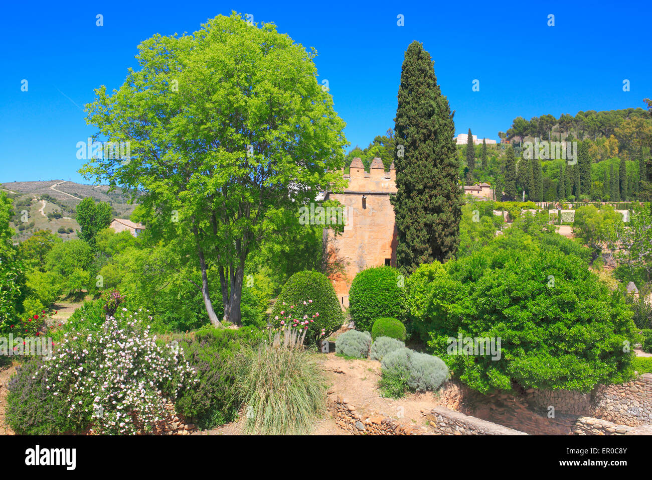 Alhambra garden tree fortress Granada Andalusia Spain Stock Photo - Alamy