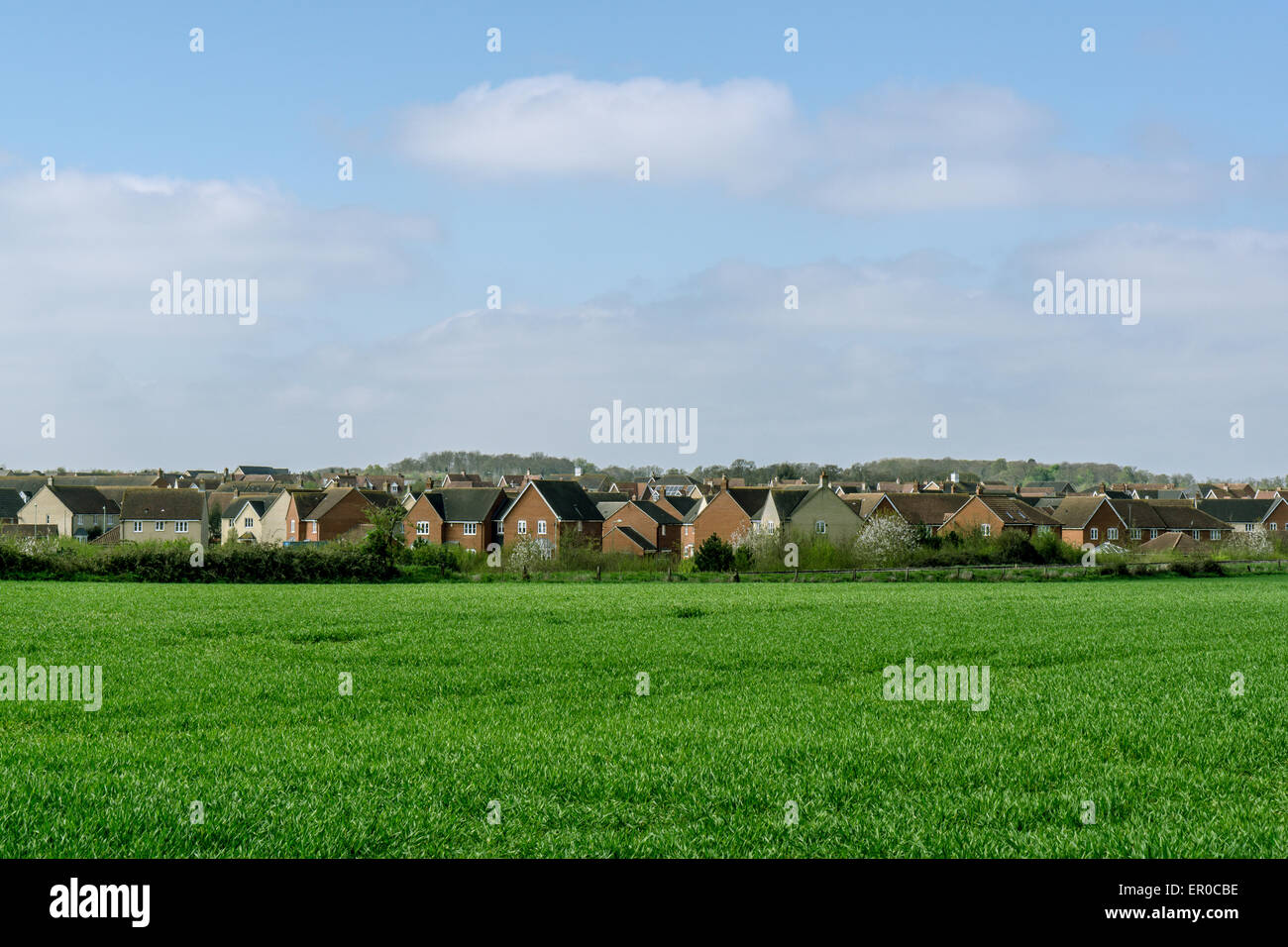 Modern new housing development, in rural Suffolk, England Stock Photo ...